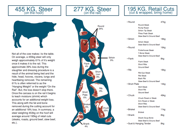 How much meat does an average Aberdeen Angus yield? - Hill Farm Finest